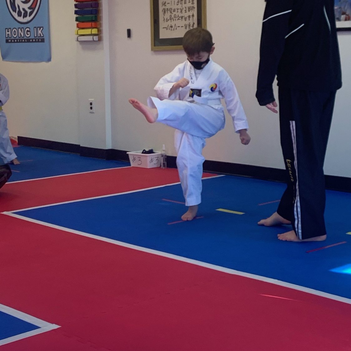 Hong-ik Martial Arts | Taekwondo