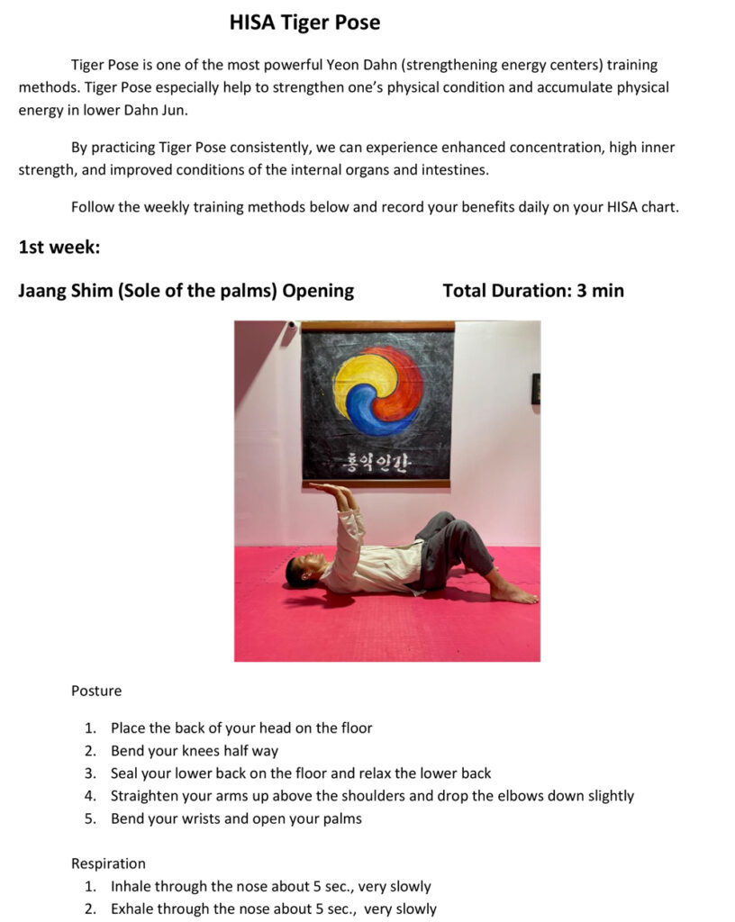 “TIGER POSE” YEON DAHN: HISA – Hong Ik Spirit Award - Hong Ik Martial Arts