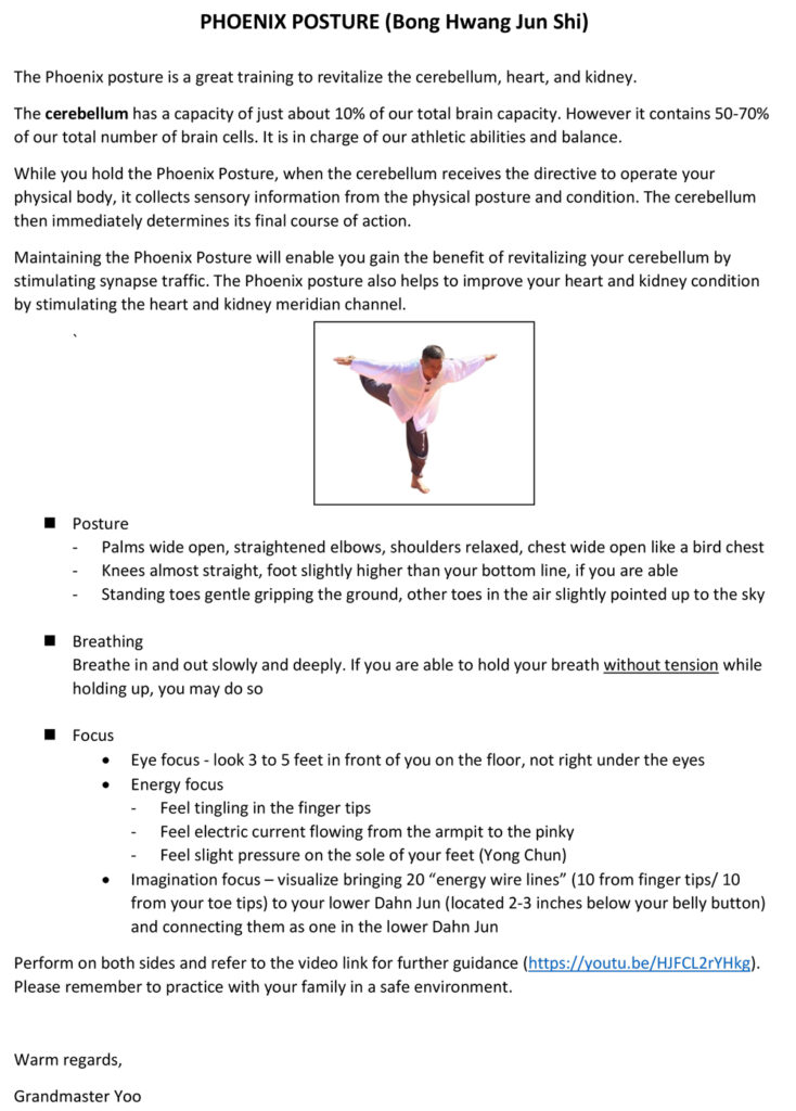 BONG HWANG JUN SHI: HIMAC – Hong Ik Martial Arts Champion - Hong Ik ...